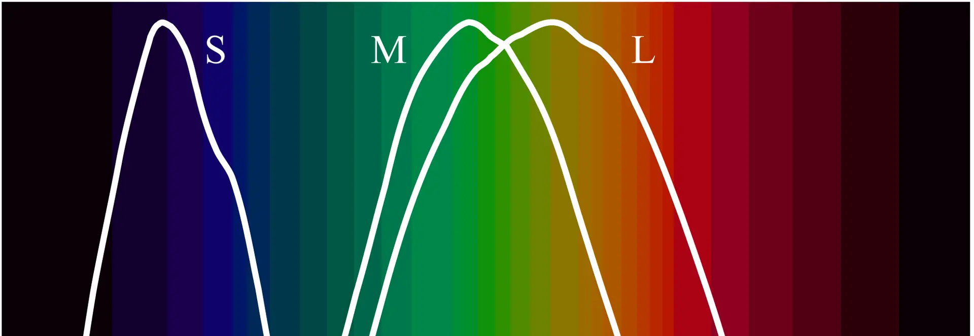 Green VS white phosphor: Différences et usages